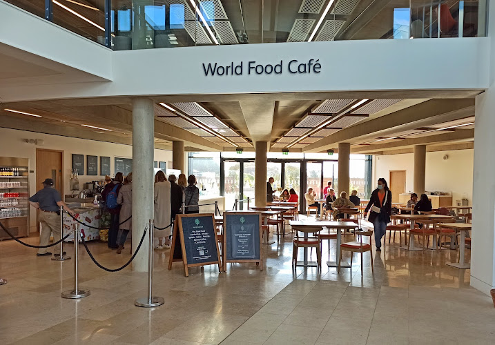 World Food Café - Cafe Restaurant Bar