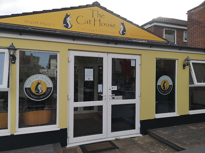 Cat House Norwich - Cafe Restaurant Bar